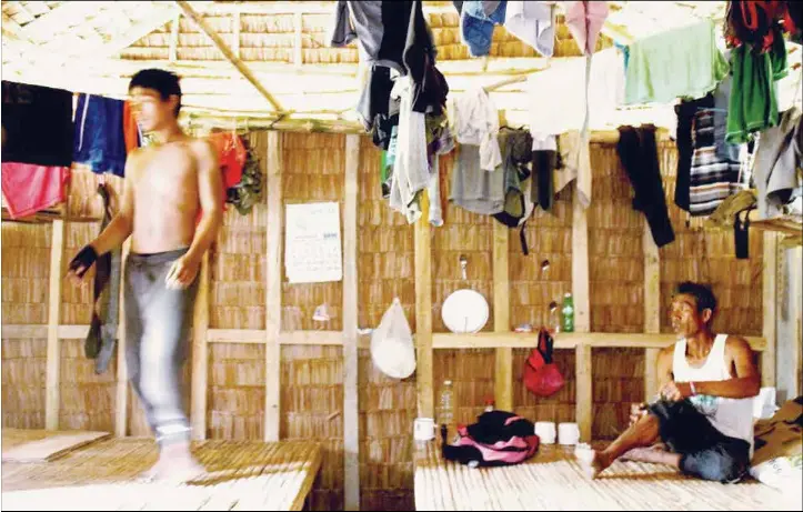 The brave sakadas... - PressReader