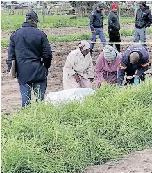 Mauled to death in dog attack - PressReader