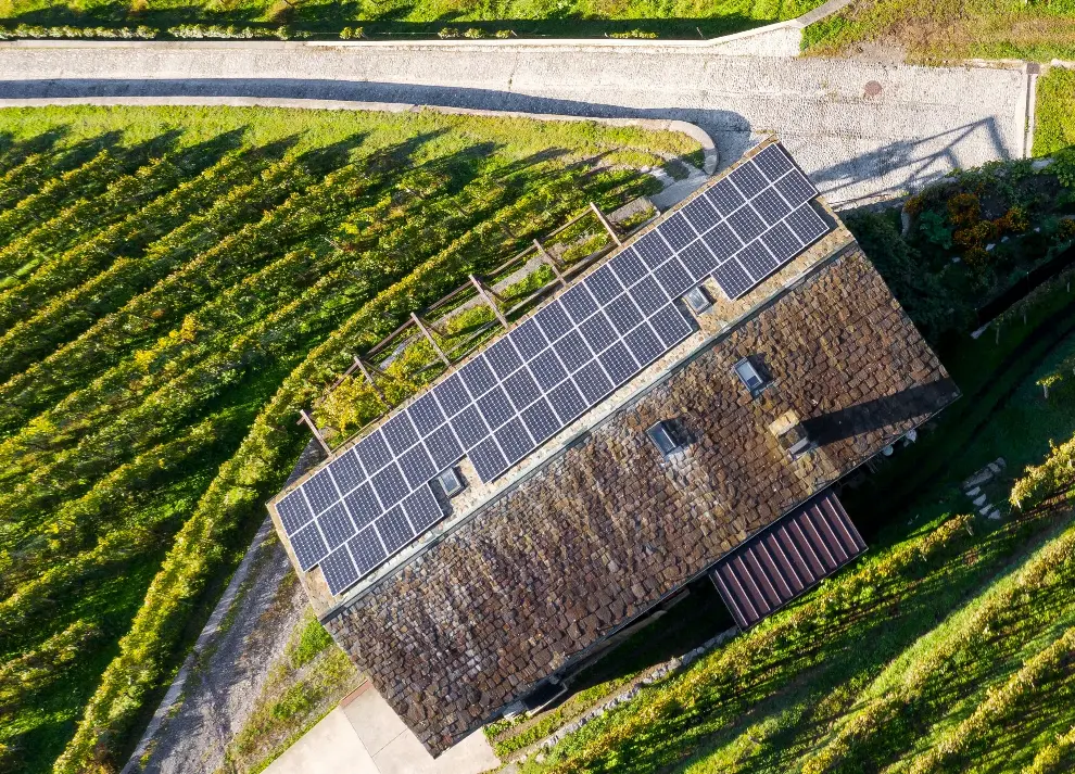 La svolta green italiana - PressReader