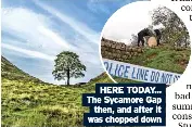 Mind the Sycamore Gap - PressReader