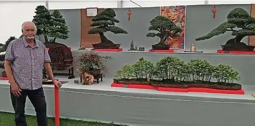 Musician gives hospice cash bonus with bonsai - PressReader