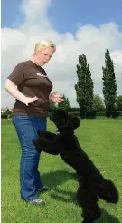 Stop jumping up! - PressReader