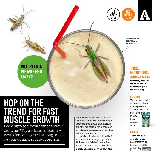 HOP ON THE TREND FOR FAST MUSCLE GROWTH - PressReader