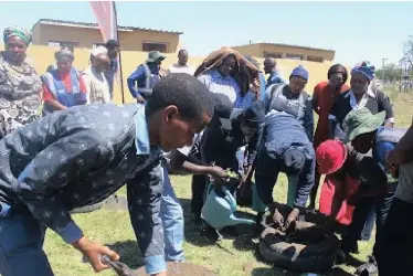 USodolophu uncede amahlwempu enkunkuma - PressReader