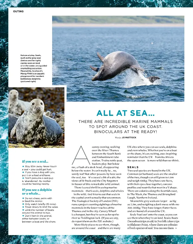 ALL AT SEA… - PressReader