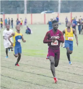 Girls take spotlight at Western Champs - PressReader