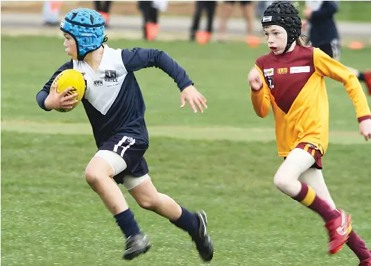 Blues in all five grand finals - PressReader