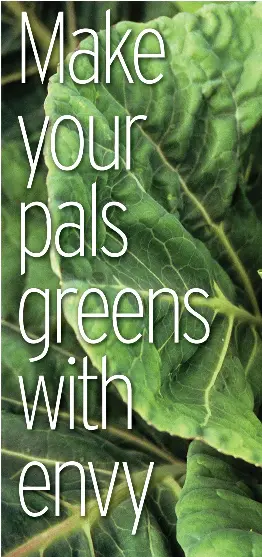 Make your pals greens with envy - PressReader