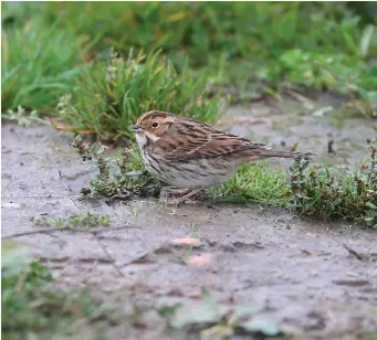 Basic Principles - PressReader