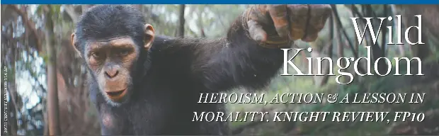 Wild Kingdom - PressReader