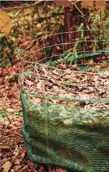 make a LEAF CAGE - PressReader