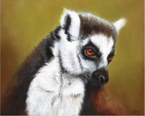 Animal magic - PressReader