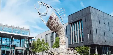 Green light for ATU Sligo on vet and pharma places - PressReader