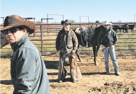 Warum Trump? - PressReader