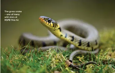 The 10 regional finalists Scotland Scaur Glen, Dumfriessh­ire Wales RSPB Ynys-hir, Ceredigion ...