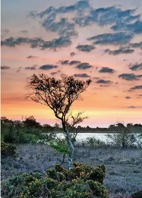 First ‘super nature reserve’ aims to turn back time - PressReader