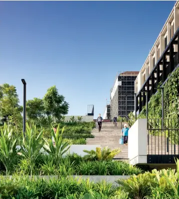 CBD Landscape Constructi­on (Qld) - PressReader