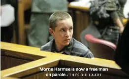 Samurai sword killer Morne Harmse released on parole - PressReader