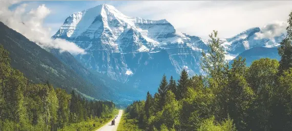 COLOUR ME YELLOW - PressReader