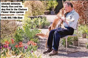 One man and his dog… and their RHS garden - PressReader