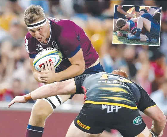 REDS TAP INTO COAST TALENT POOL FOR SUPER RUGBY REVIVAL - PressReader