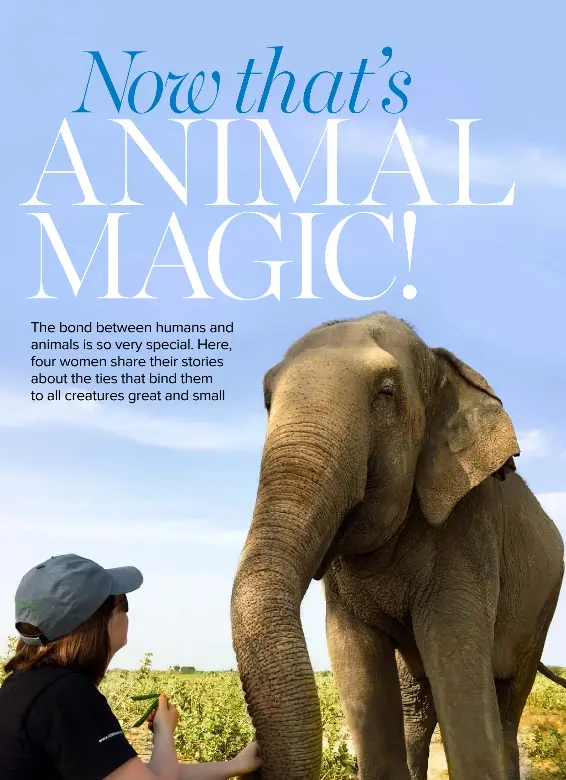 Now that’s animal magic! - PressReader