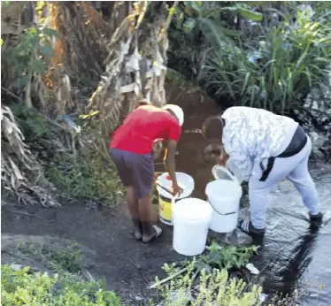 Heads will roll - PressReader