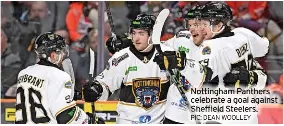 Panthers see off Steelers for superb win - PressReader
