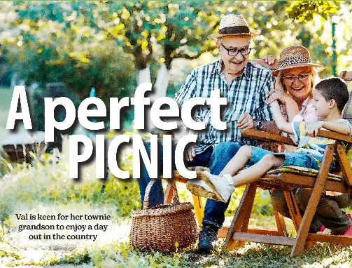 A perfect PICNIC - PressReader