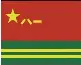 Flag patterns for four branches of PLA unveiled - PressReader