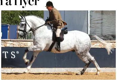‘He’s on a f lyer’ - PressReader