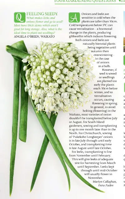 Ask our experts - PressReader