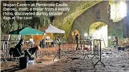 Further digs at ‘truly remarkable’ cave - PressReader