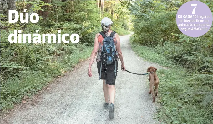 Dúo dinámico - PressReader