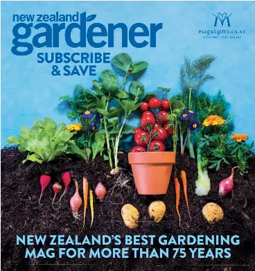 Timaru teen notches up scalp of Aussie great - PressReader