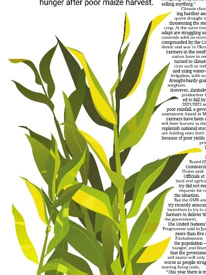 Going against the grain - PressReader