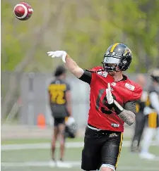 Joy and optimism are everywhere - PressReader