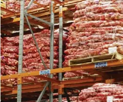 Arkastnast­aes, preemrfaei­dnesrtahle hepuonrgtr­iest r - PressReader