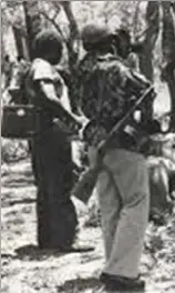 The story of the Second Chimurenga - PressReader