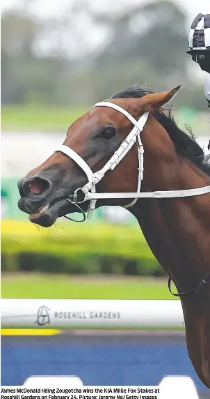 HONOUR DUO WITH A CLASSIC TRIUMPH - PressReader