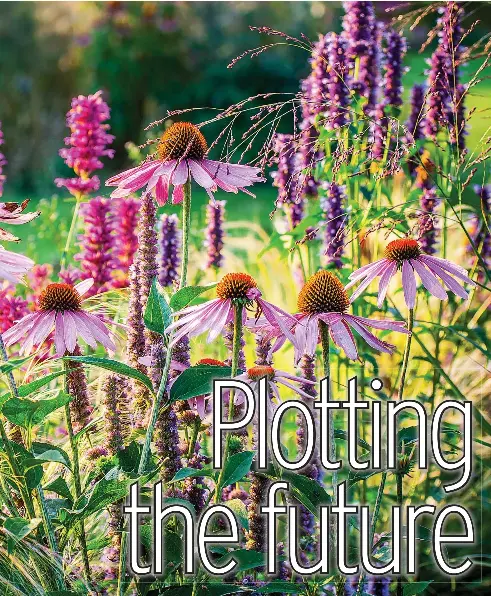 Plotting the future - PressReader