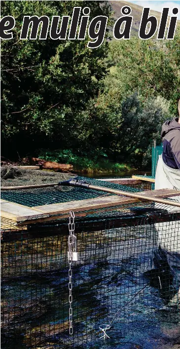 Det er ikke mulig å bli Kvitt helt - PressReader