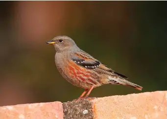 Basic Principles - PressReader