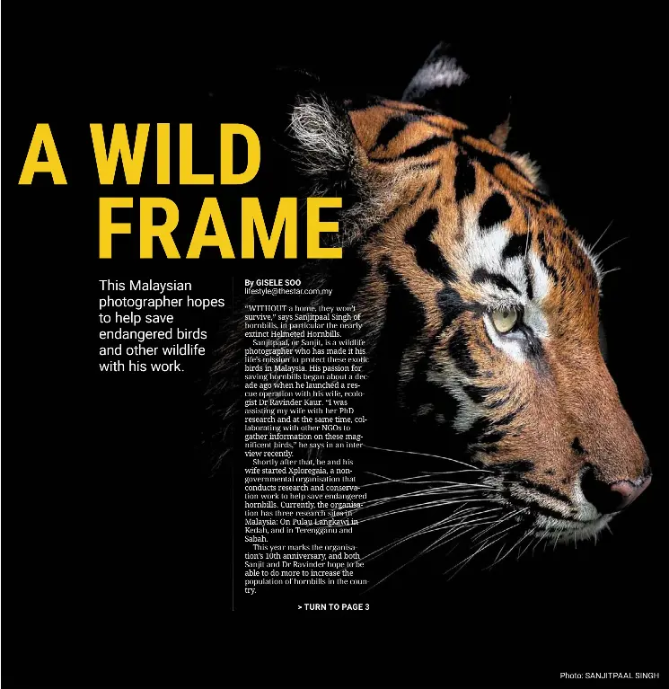 A WILD FRAME - PressReader