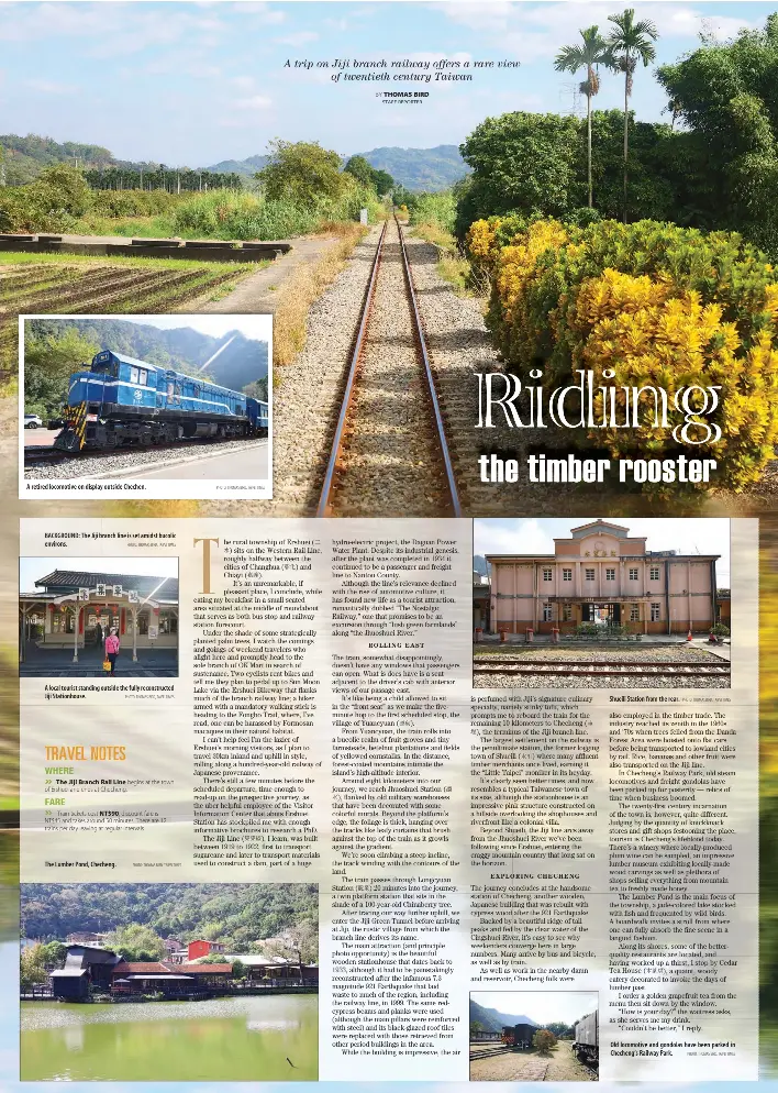 Riding the timber rooster - PressReader