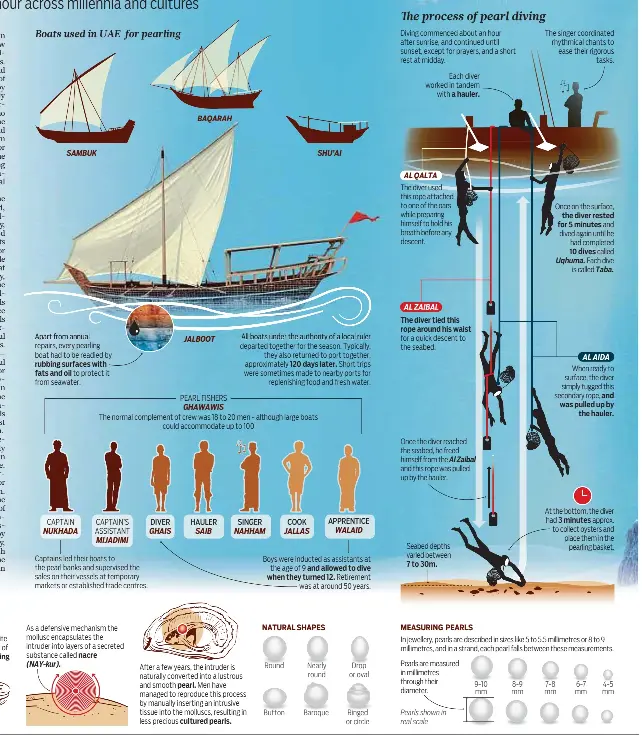 Pearl diving: The quest to find the wealth of the ocean - PressReader