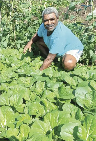 Grandpa Relocates, Seeks Relief for Low-Income Families | Fiji Sun ...