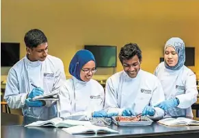 A solid start in healthcare - PressReader