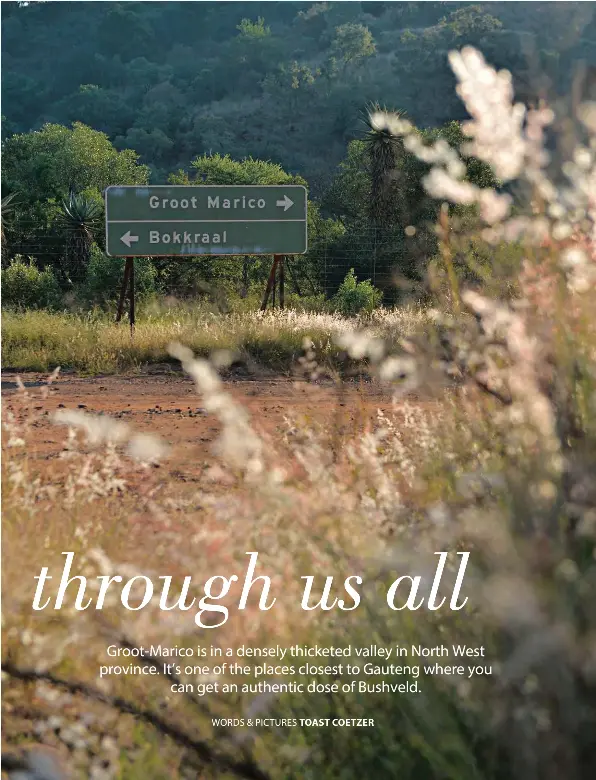 Visit Groot-Marico - PressReader