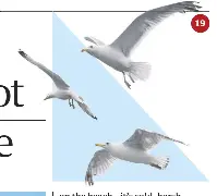 On the edge - PressReader